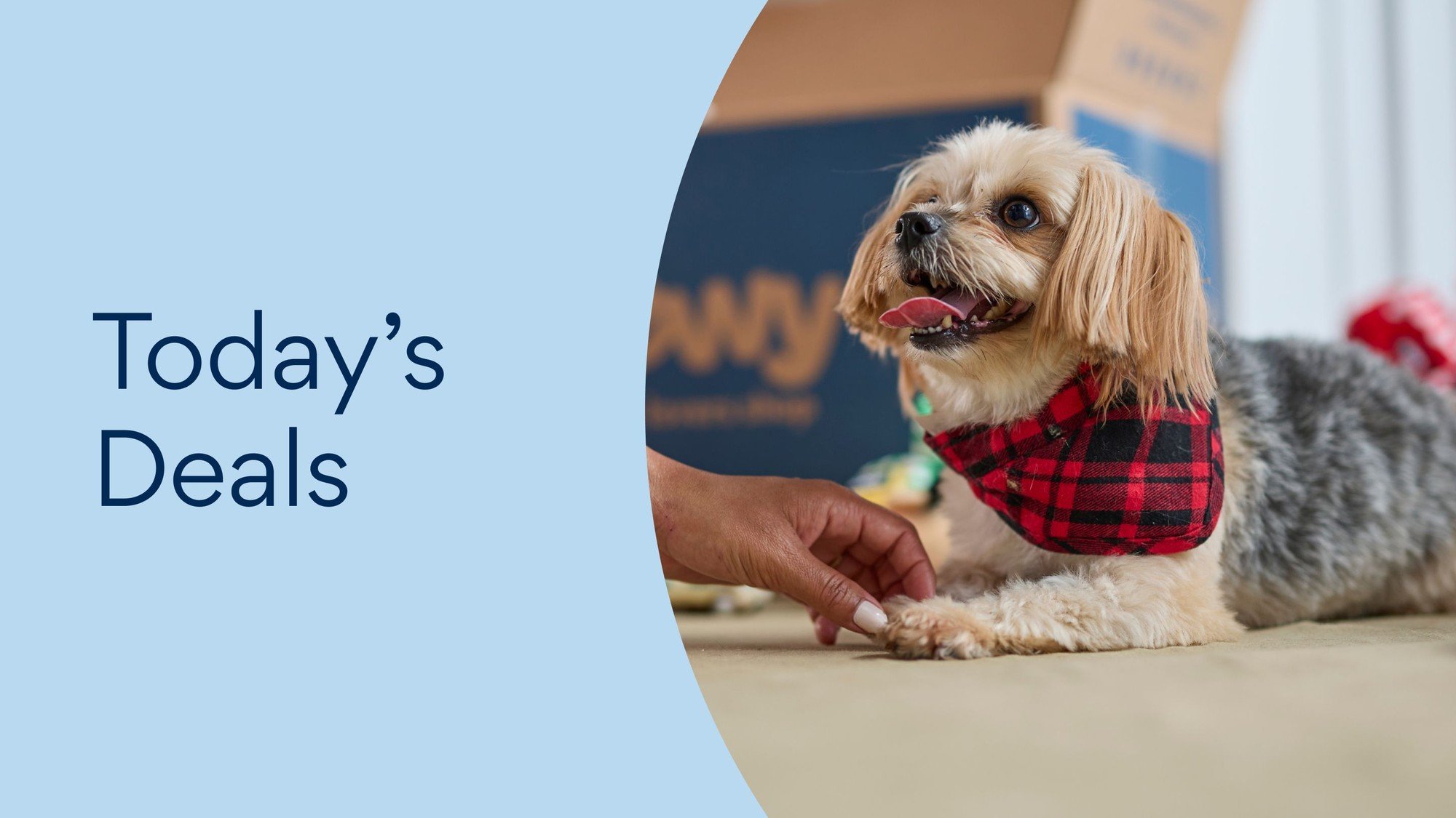 Dog Supplies (Free shipping) | Chewy Canada