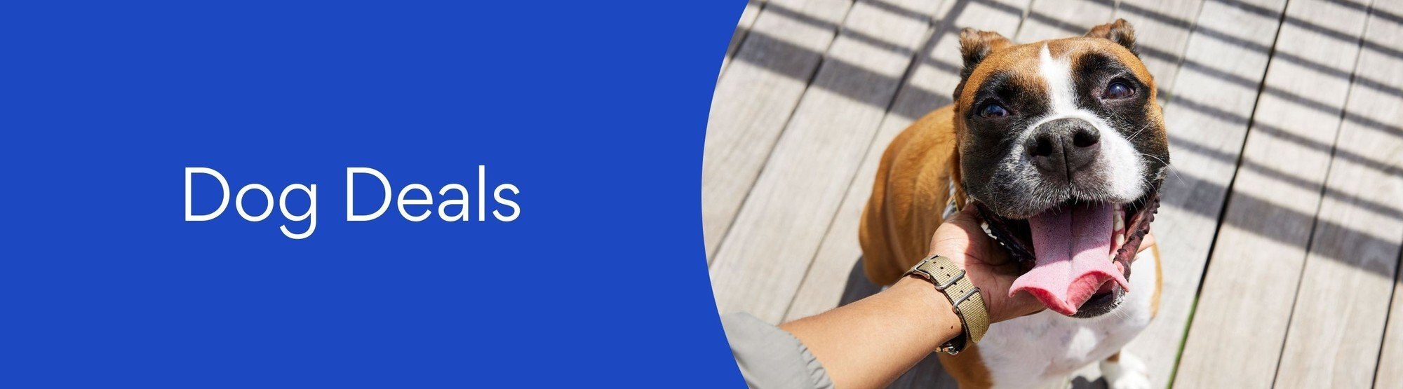 Today's Deals: Chewy Canada Promo Codes, Discounts & Coupons | Chewy Canada