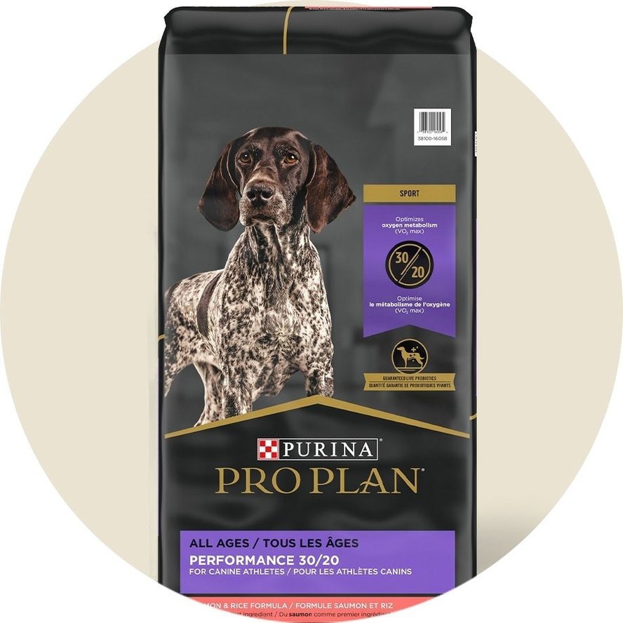 Purina Pro Plan - Free shipping | Chewy Canada