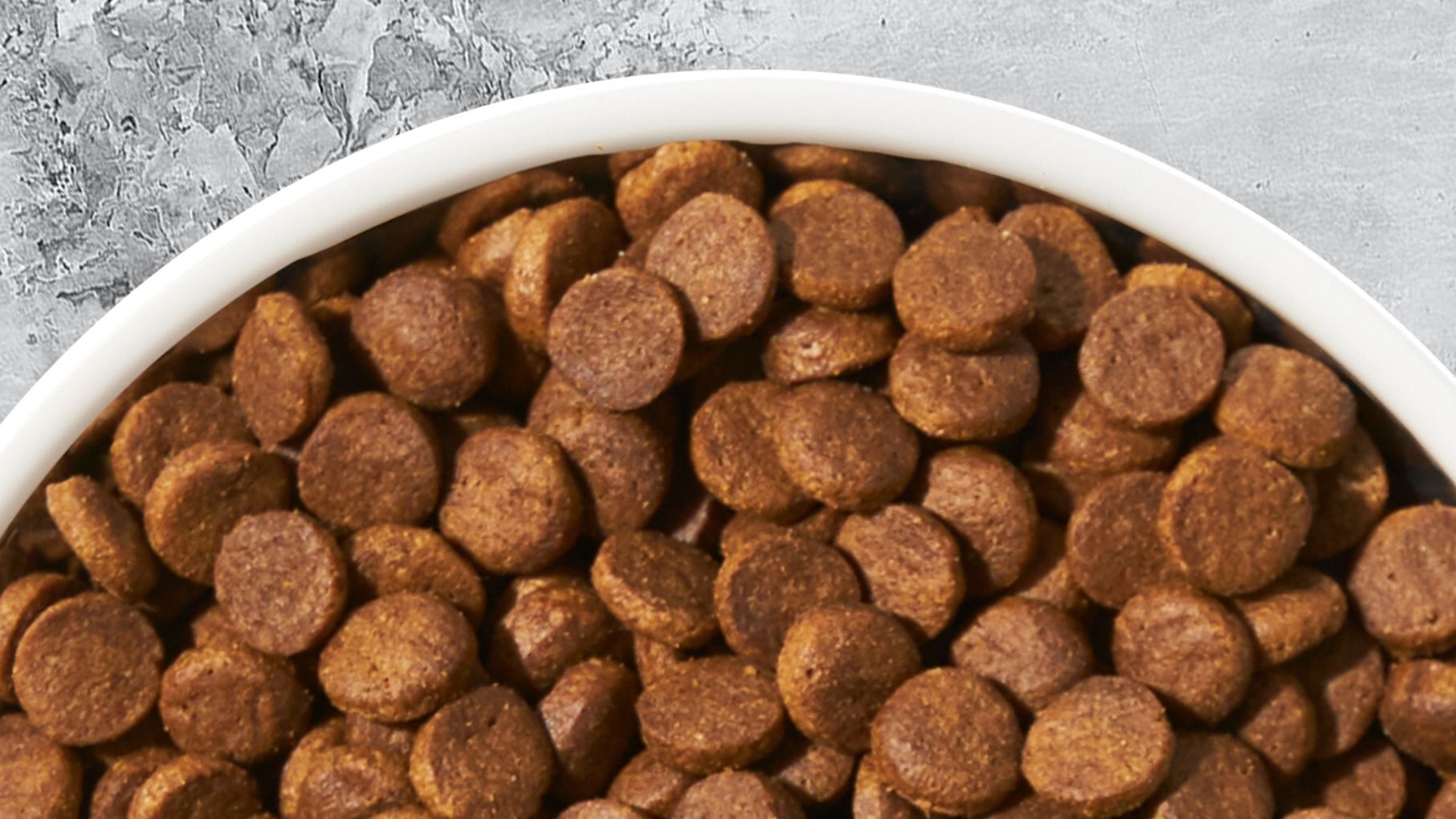 Dog Food (Free shipping) | Chewy Canada