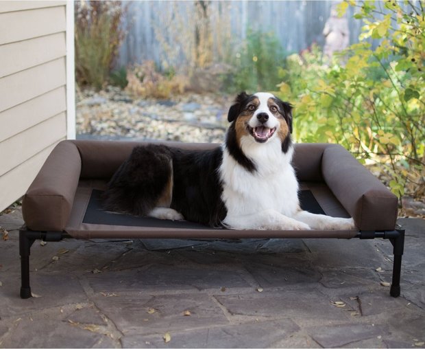 Dog Beds - Free shipping | Chewy Canada