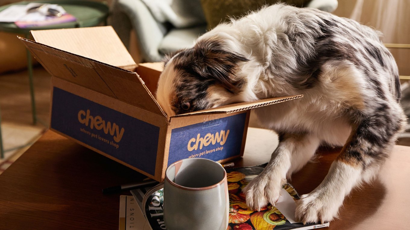 About Us | Chewy Canada