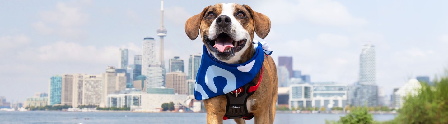 About Us | Chewy Canada