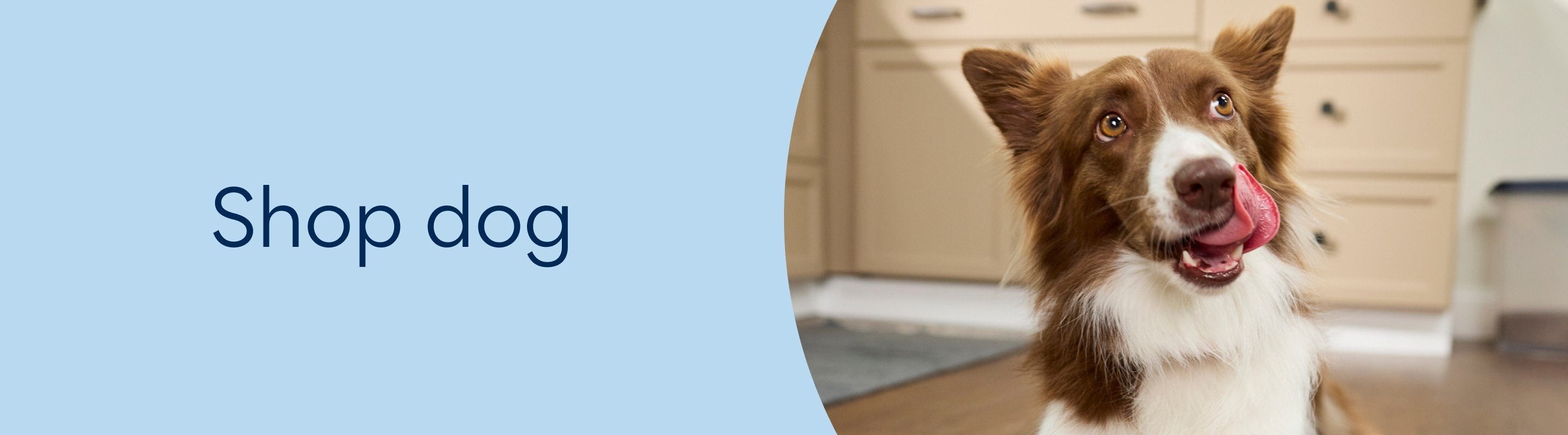 Pet Food and Supplies - Free Shipping in Canada | Chewy Canada