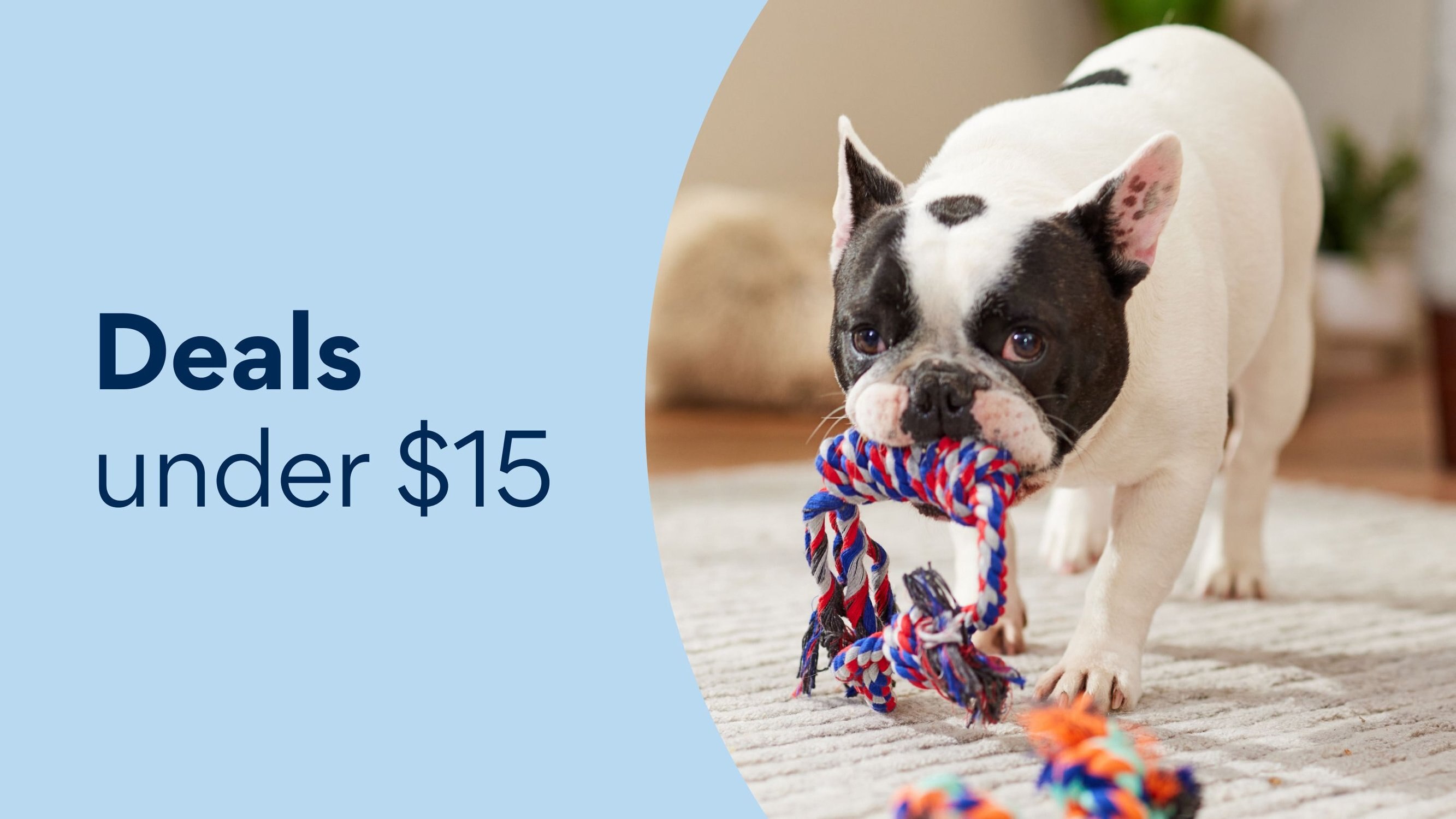 Today's Deals: Chewy Canada Promo Codes, Discounts & Coupons | Chewy Canada