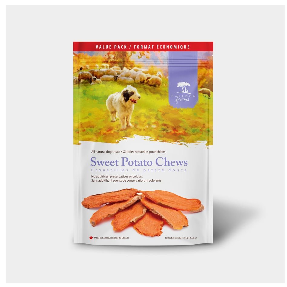 Canada Shop - Free shipping | Chewy Canada