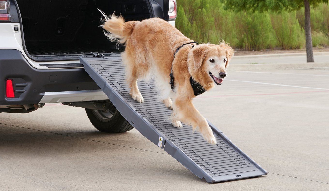 FRISCO Eyelash Fur Round Elevated Cat Bed, Ivory - Chewy.com | Chewy Canada