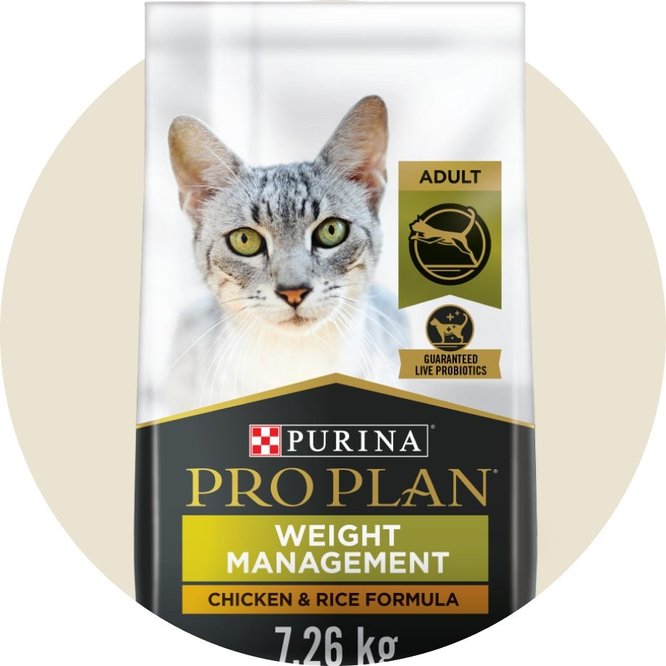 Purina Pro Plan - Free shipping | Chewy Canada