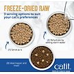 CATIT Recipes Raw Tuna & Chicken Freeze-Dried Cat Food, 100-g bag ...