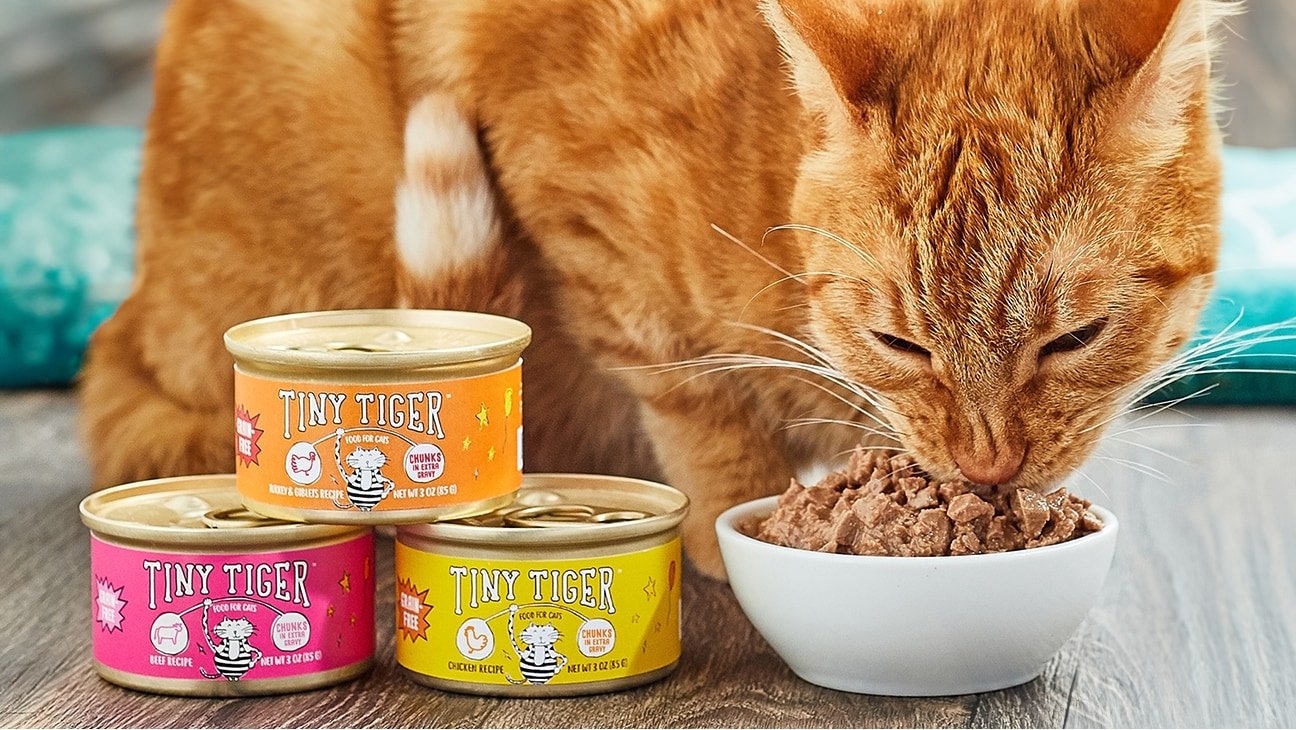 Cat Food - Free shipping | Chewy Canada
