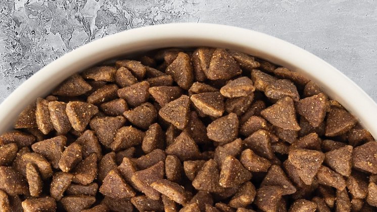 Cat Food - Free shipping | Chewy Canada