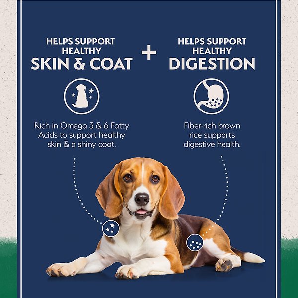 NATURAL BALANCE Limited Ingredient Lamb & Brown Rice Recipe Dry Dog ...