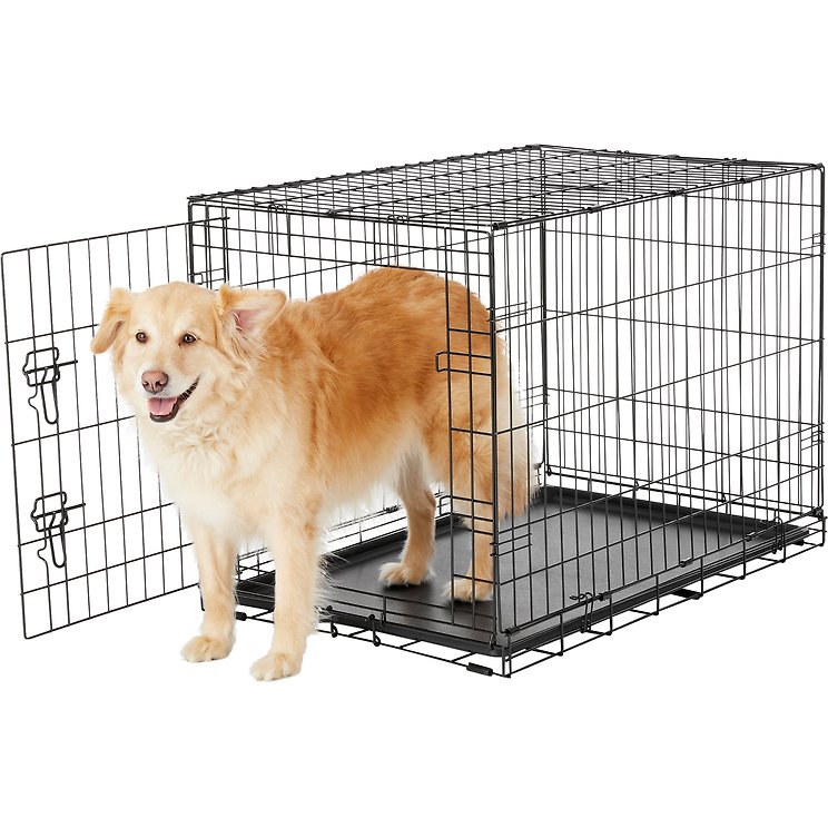 Dog Crates & Kennels (Free shipping) | Chewy Canada