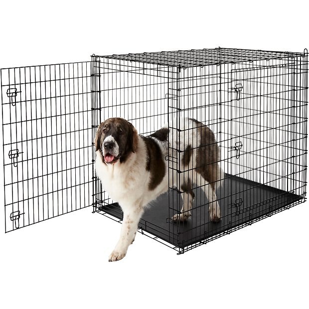 Dog Crates & Kennels (Free shipping in Canada) | Chewy Canada