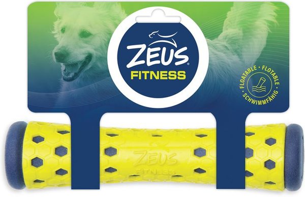 ZEUS Fitness Fetch Stick Dog Toy, 20-cm - Chewy.com | Chewy Canada