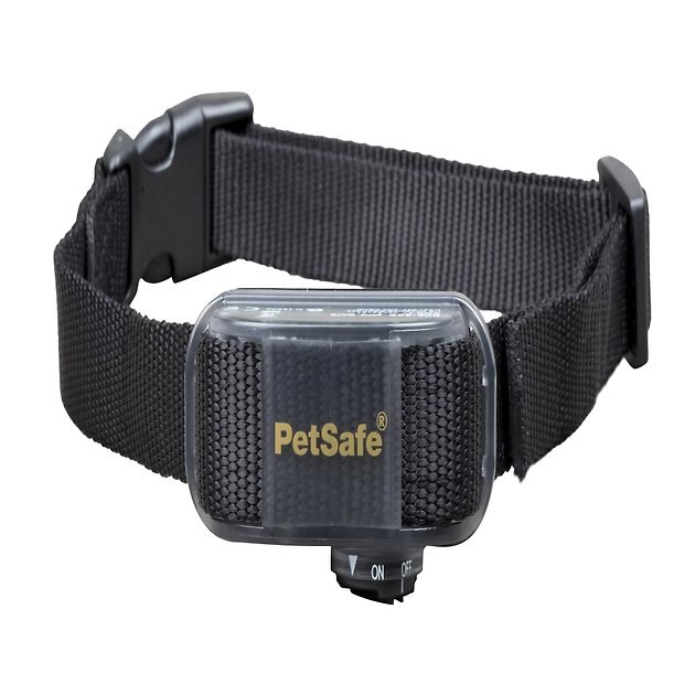 PETSAFE Waterproof Vibration Training Dog Collar | Chewy Canada