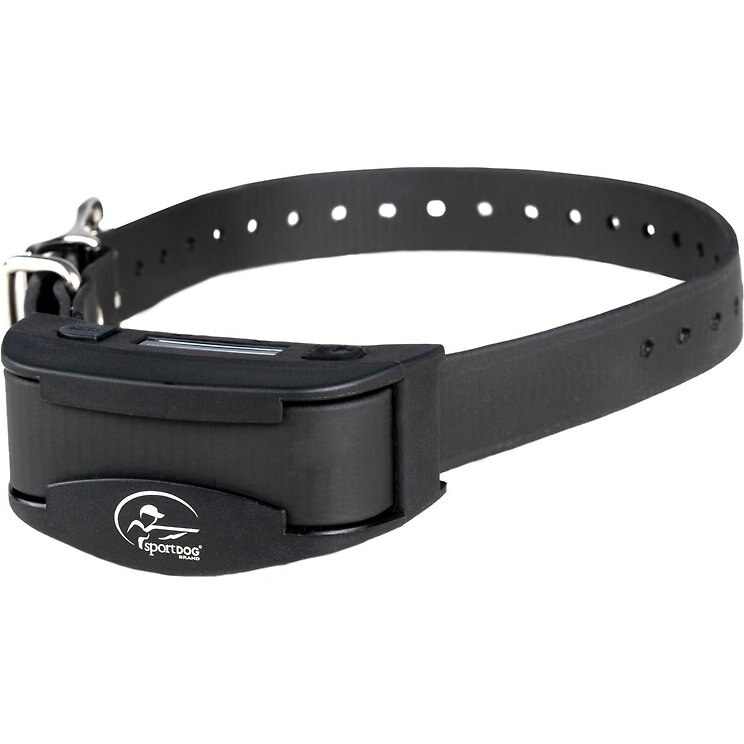Training & Tech Collars (Free shipping) | Chewy Canada