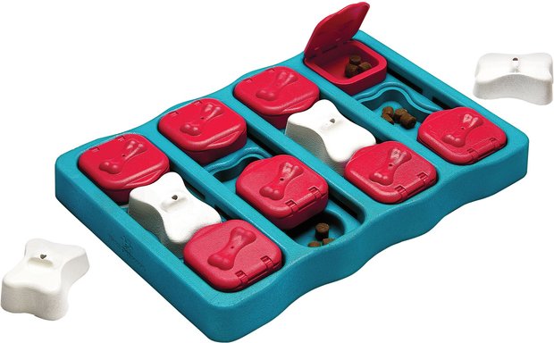 Pet Toys - Free shipping | Chewy Canada