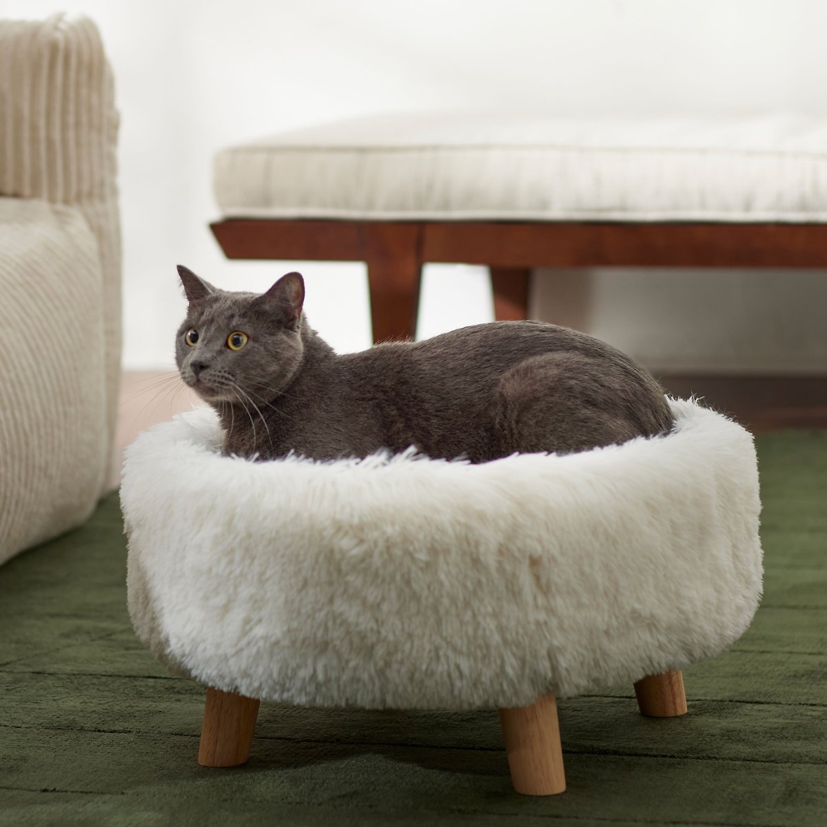 FRISCO Eyelash Fur Round Elevated Cat Bed, Ivory - Chewy.com | Chewy Canada