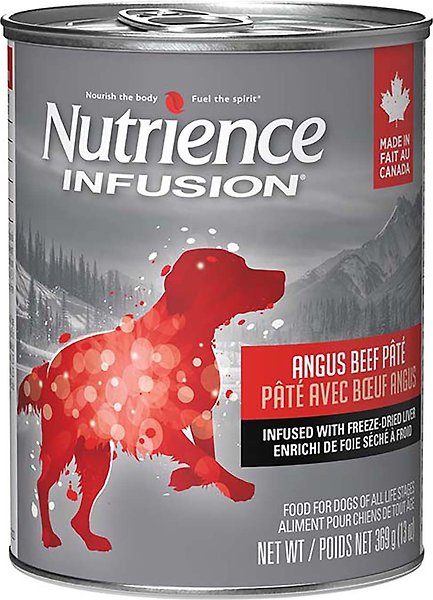 NUTRIENCE Infusion Beef Wet Dog Food, 369-g can, case of 12 - Chewy.com ...