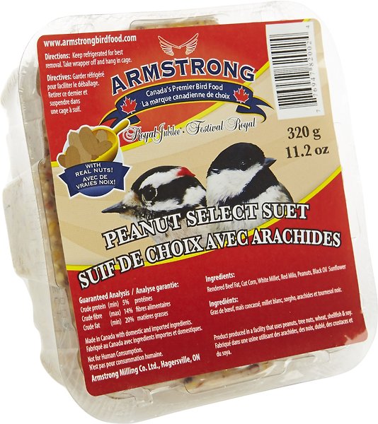 ARMSTRONG Peanut Select Suet Cake Wild Bird Food, 320-g - Chewy.com ...