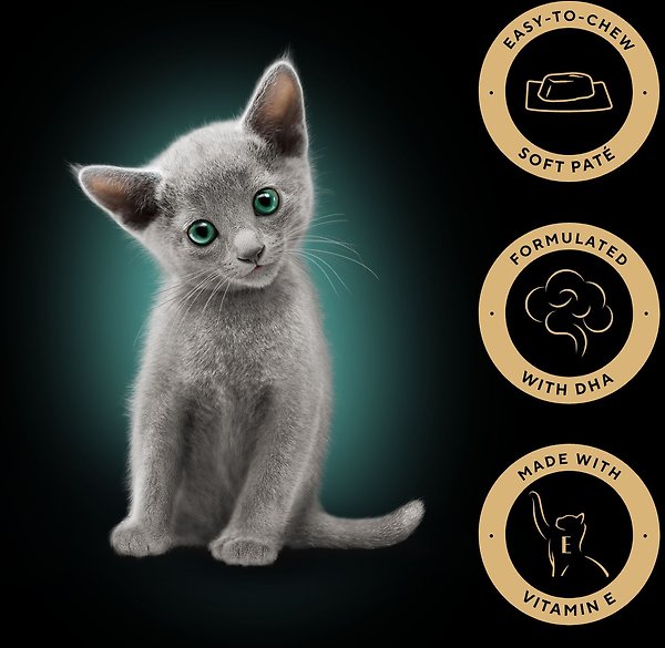 SHEBA Perfect Portions Kitten Delicate Salmon Entree Pate Wet Cat Food ...