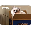 CHEWY CANADA eGift Card, Special Delivery Cat, $150 - Chewy.com | Chewy ...
