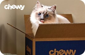 CHEWY CANADA eGift Card, Toronto Sky, $150 - Chewy.com | Chewy Canada