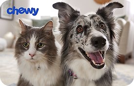 CHEWY CANADA eGift Card, Toronto Sky, $150 - Chewy.com | Chewy Canada