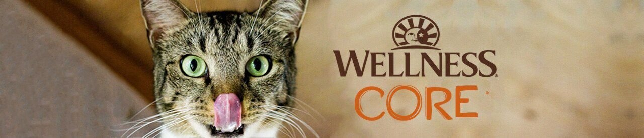 WELLNESS CORE Grain-Free Kitten Formula Natural Dry Cat Food, 5-lb bag ...