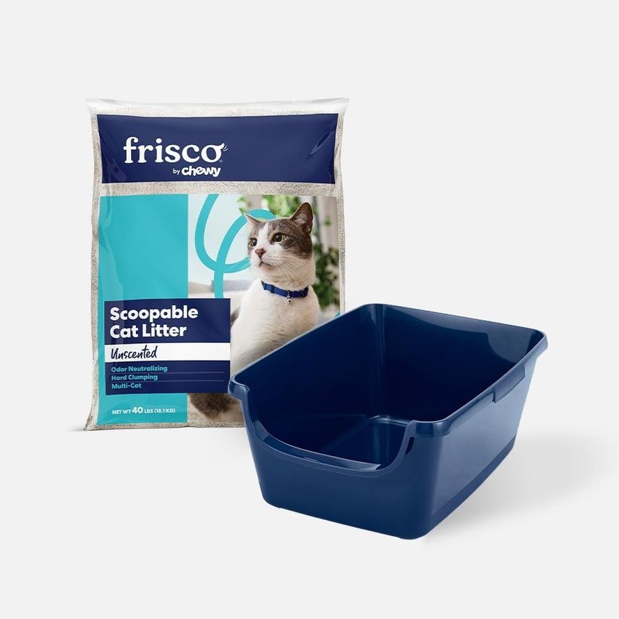 Cat Supplies: Cat Accessories & Products (Free Shipping) | Chewy