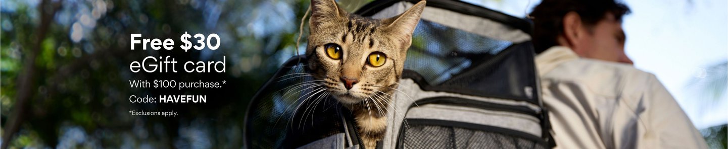 Cat Supplies: Cat Accessories & Products (Free Shipping) | Chewy