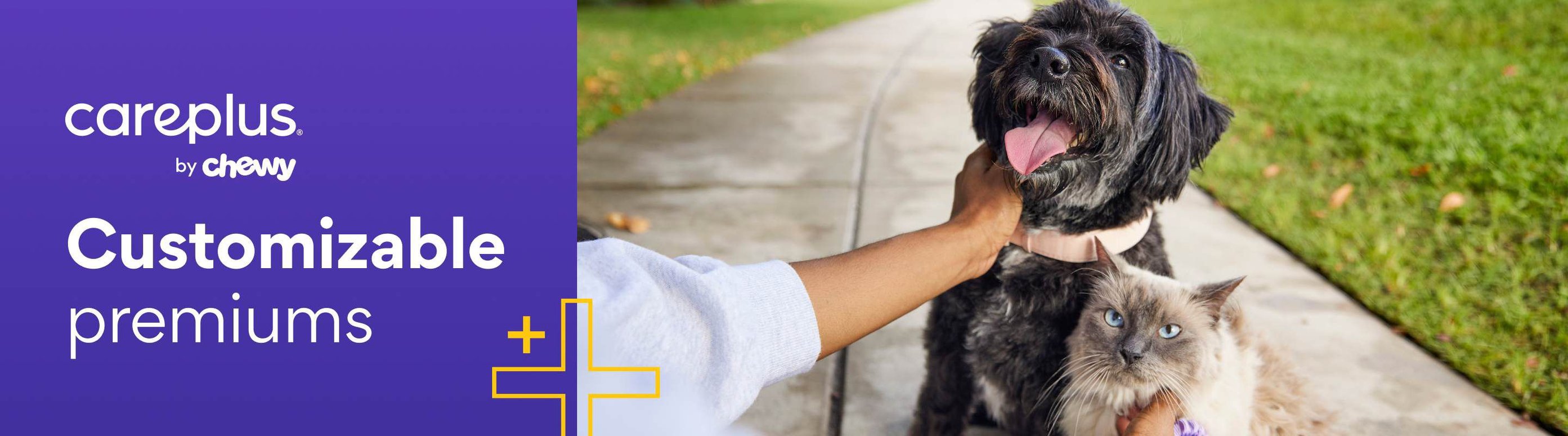 Healthcare Chewy - Free shipping | Chewy