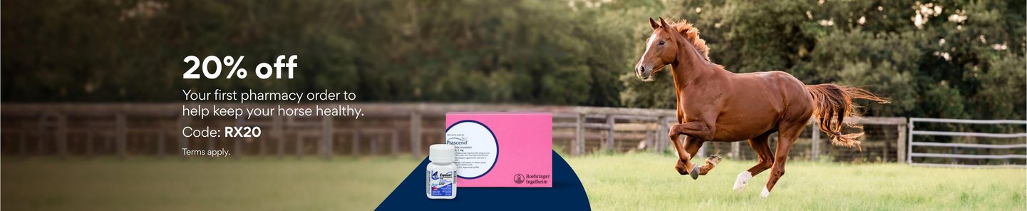 Horse Medicine: Prescription Horse Pharmacy Meds (Ships Free) | Chewy RX