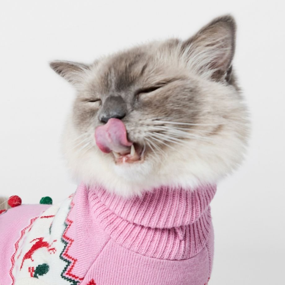 Pet Food, Products, Supplies at Low Prices - Free Shipping | Chewy.com