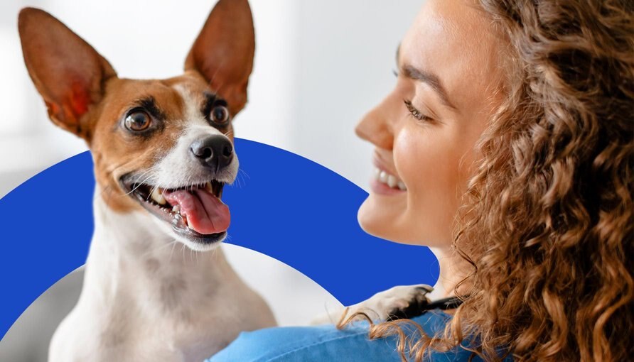 CarePlus Pet Insurance & Wellness | Chewy Health