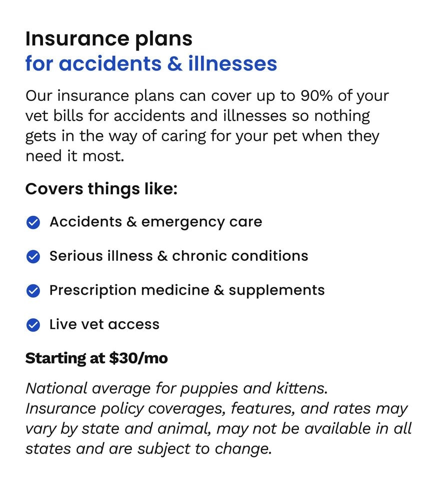 Dog Insurance & Wellness Plans | CarePlus by Chewy