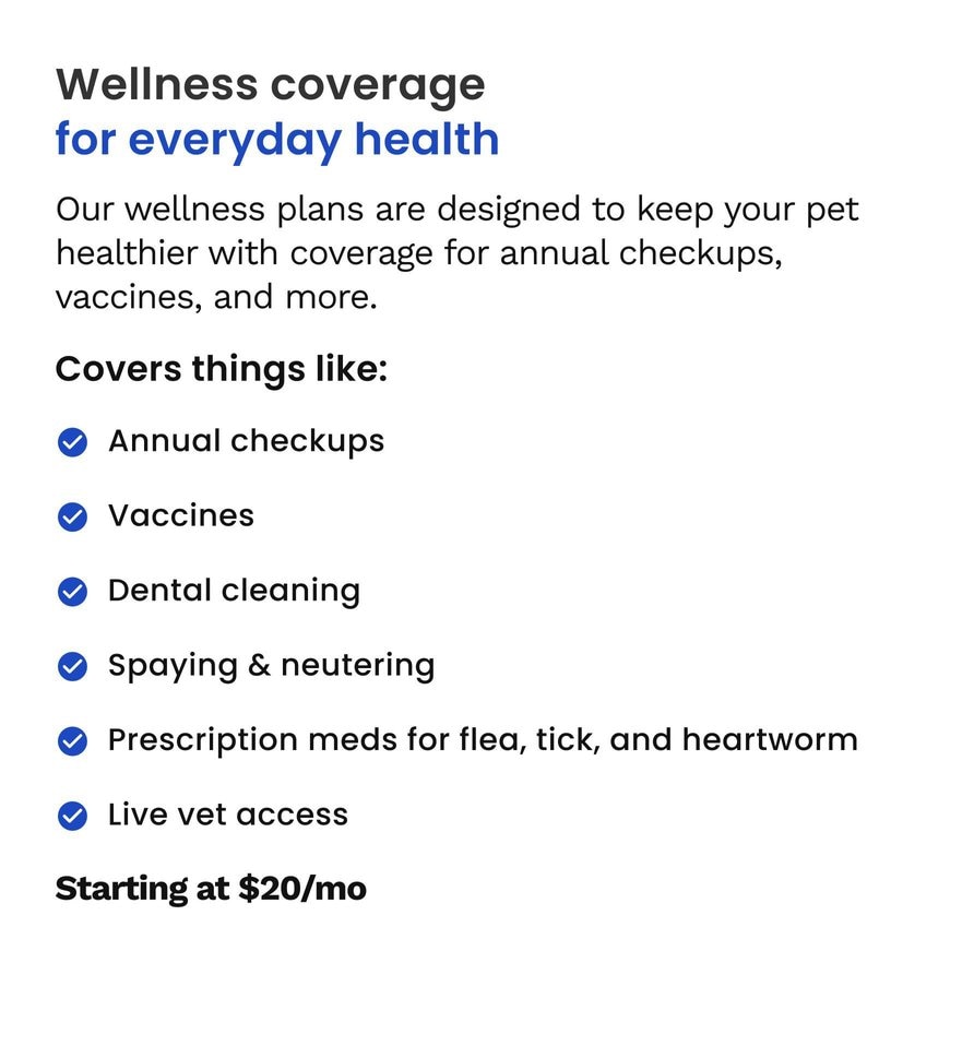 CarePlus Pet Insurance & Wellness | Chewy Health