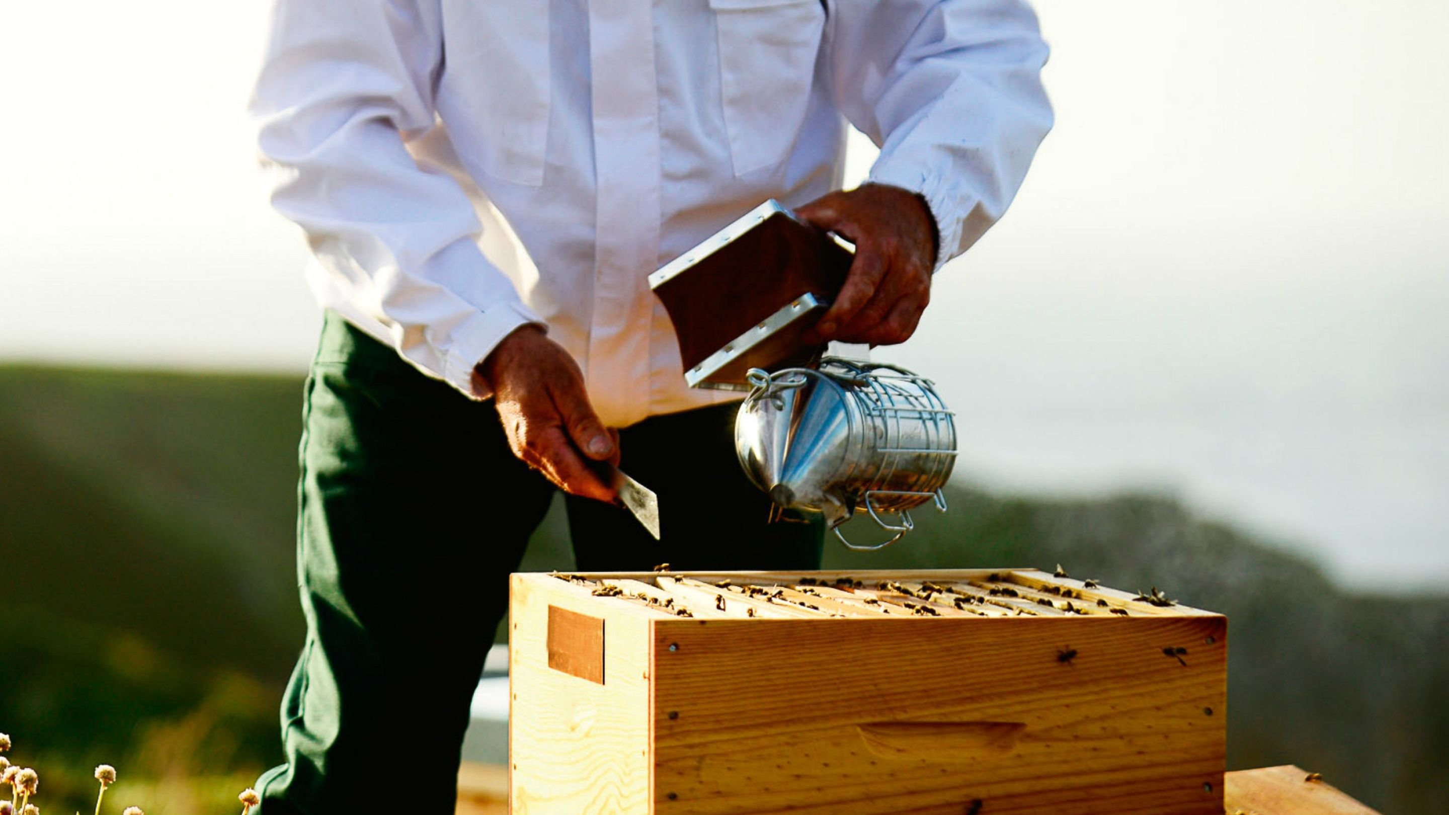 Wildlife Supplies | Chewy