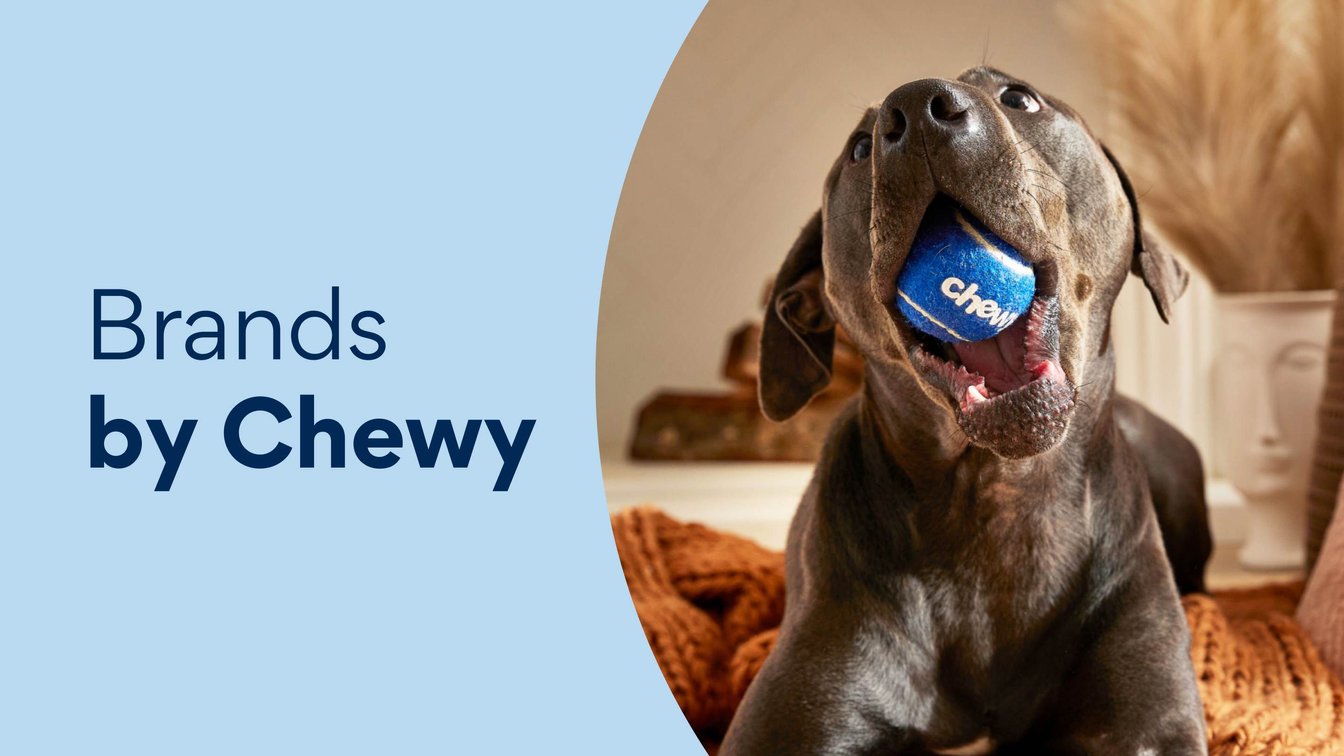 Today's Deals: Chewy Promo Codes, Discounts & Coupons | Chewy