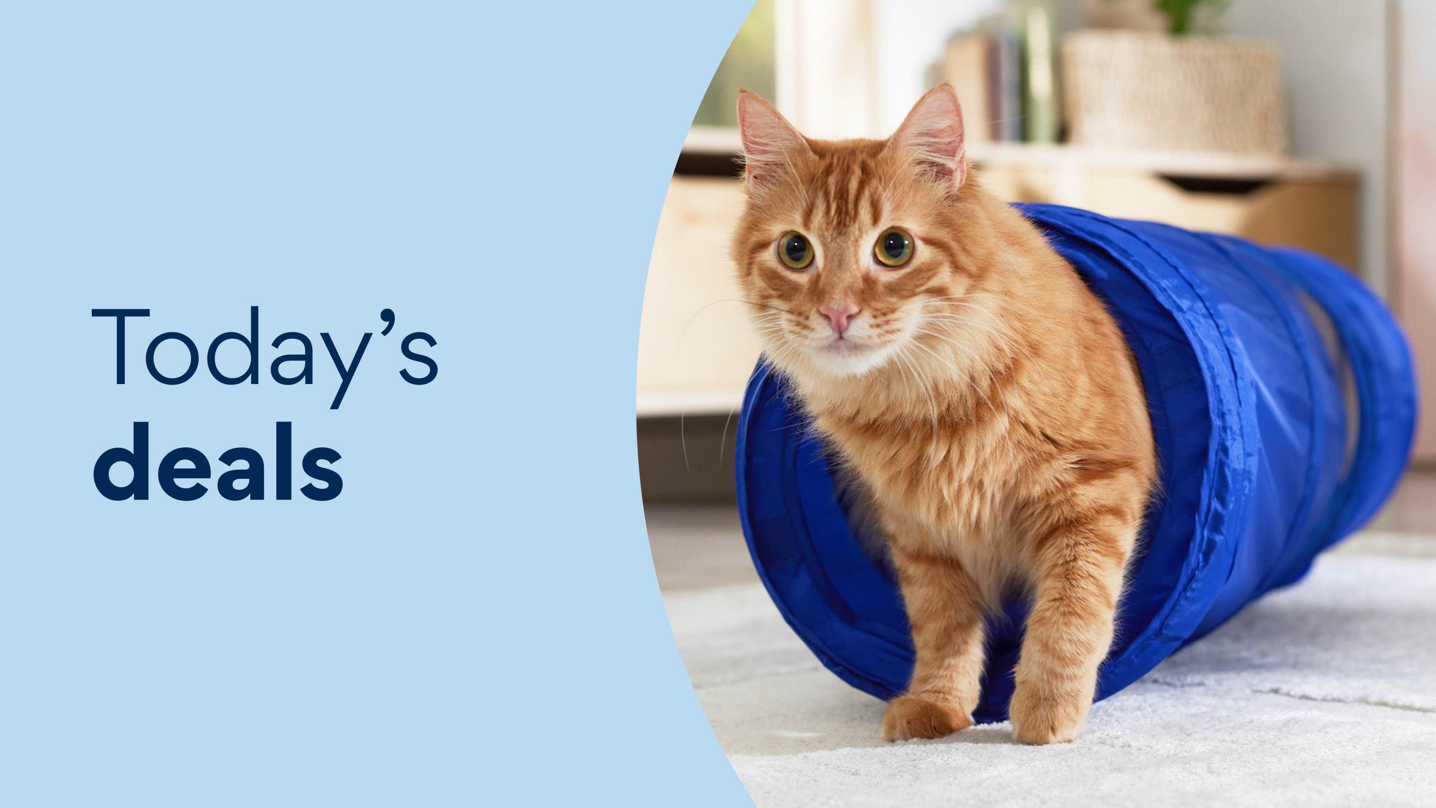 Cat Supplies: Cat Accessories & Products (Free Shipping) | Chewy