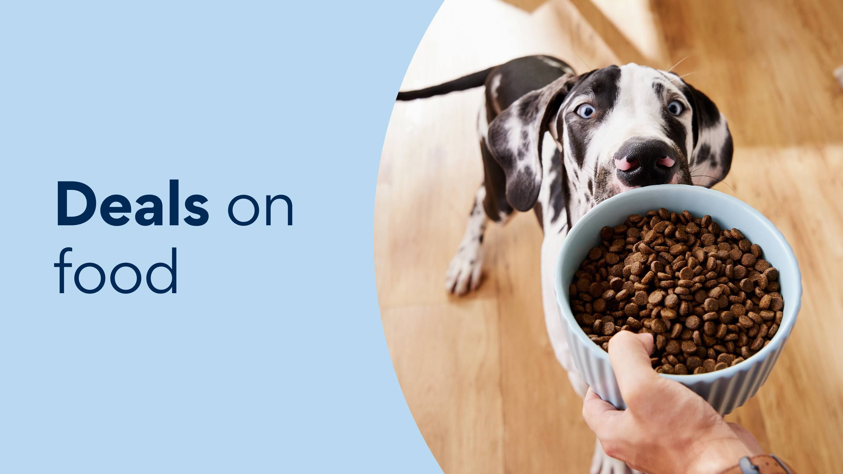 Today's Deals: Chewy Promo Codes, Discounts & Coupons | Chewy