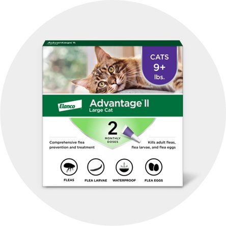 Advantage - Free shipping | Chewy
