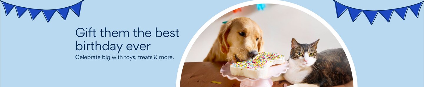 Pet Birthday Gifts For Dogs & Cats - Free Shipping | Chewy