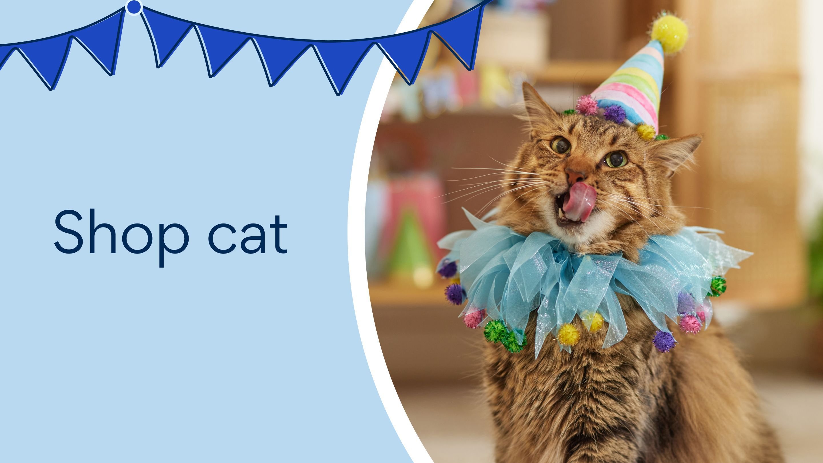 Pet Birthday Gifts For Dogs & Cats - Free Shipping | Chewy