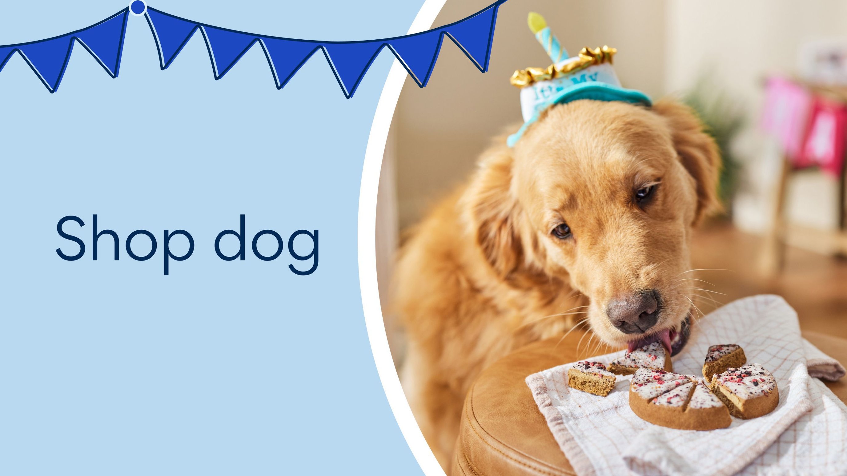 Pet Birthday Gifts For Dogs & Cats - Free Shipping | Chewy