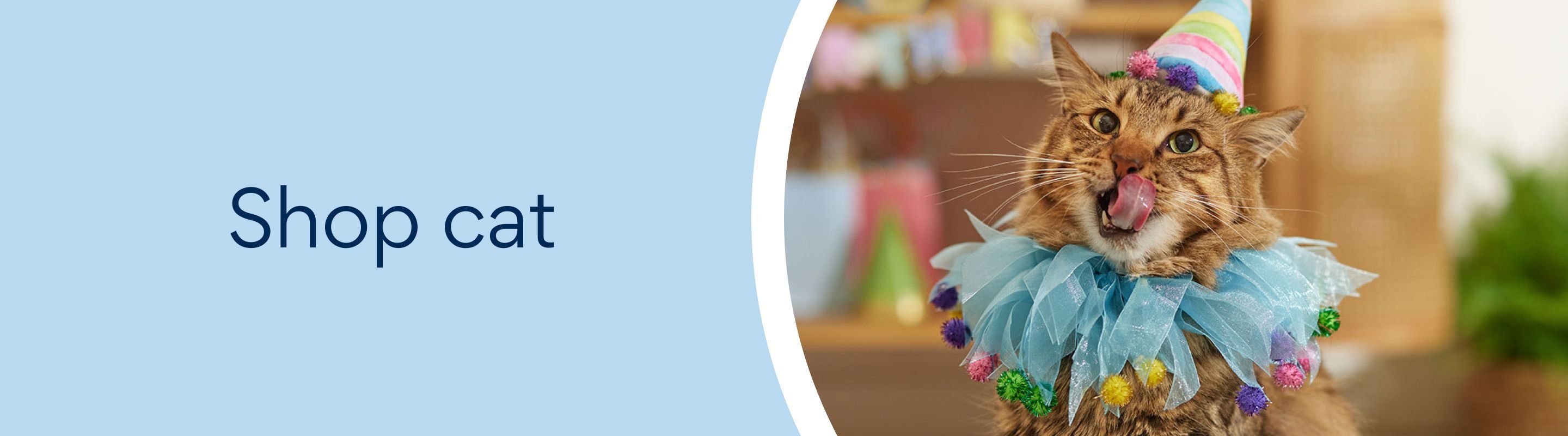 Pet Birthday Gifts For Dogs & Cats - Free Shipping | Chewy