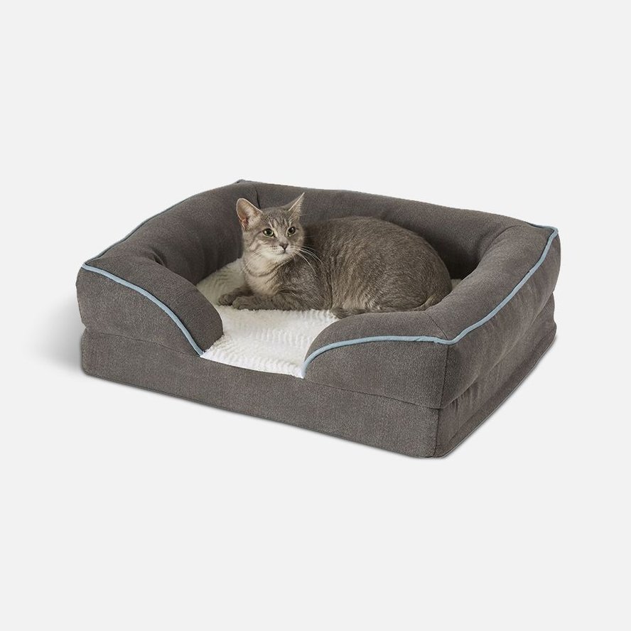 Cat Supplies: Cat Accessories & Products (Free Shipping) | Chewy