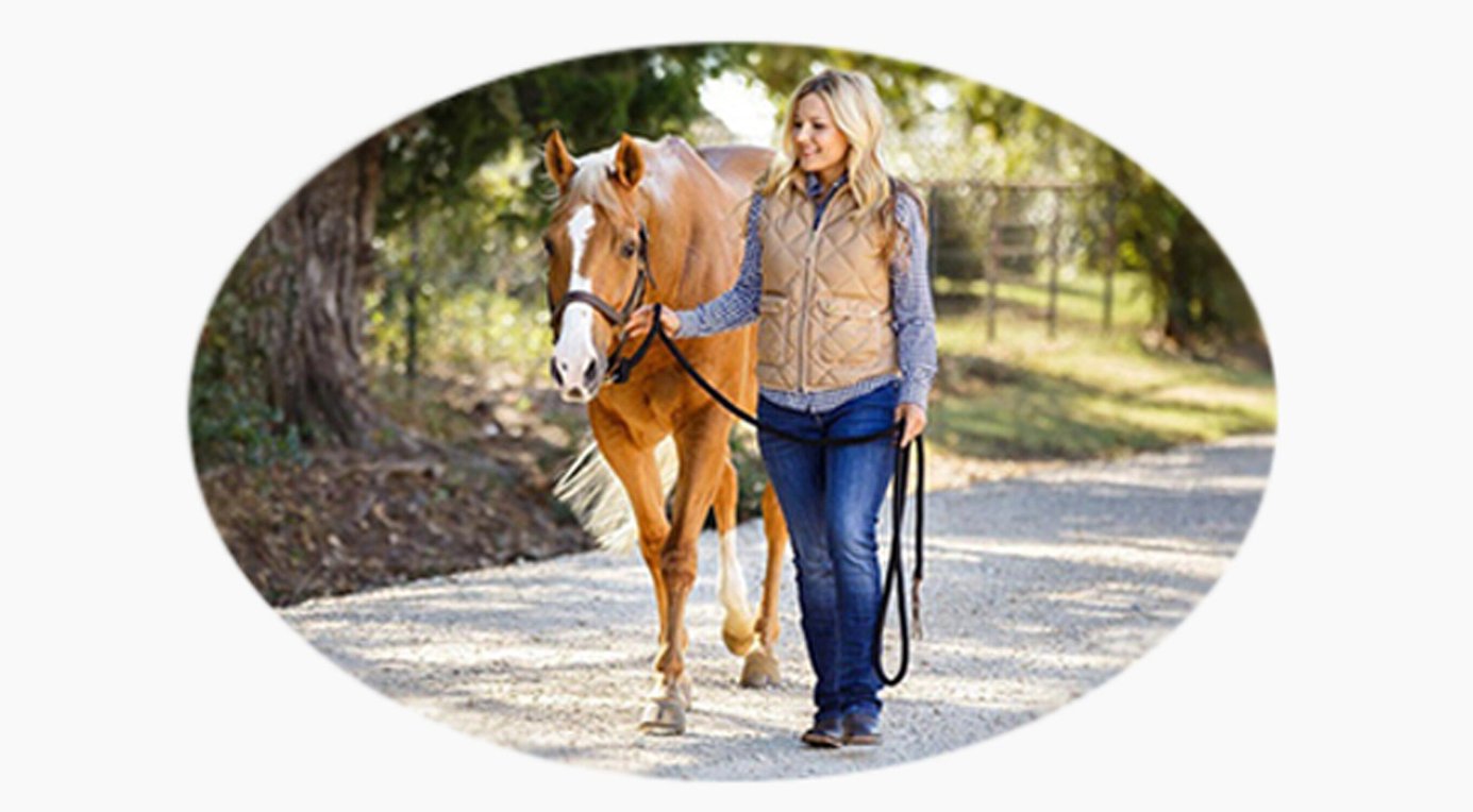 FARNAM Equi-Spot Horse Spot-On Fly Control, 6 treatments - Chewy.com