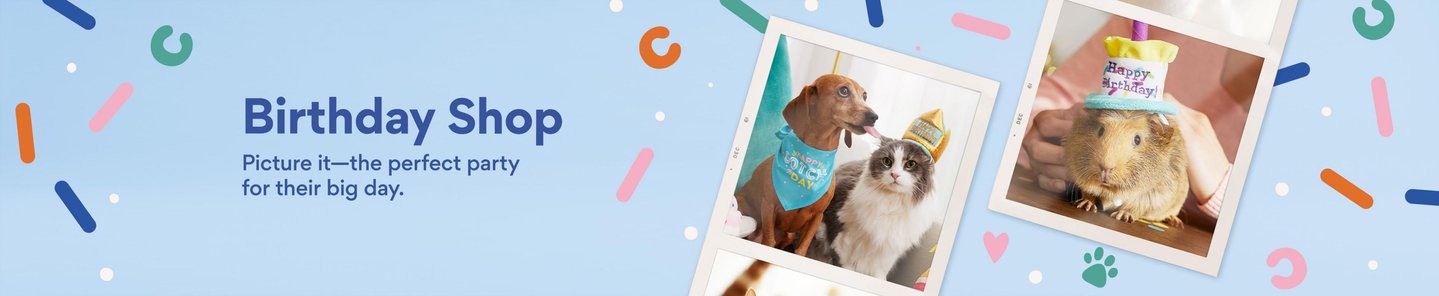 Pet Birthday Gifts For Dogs & Cats - Free Shipping | Chewy